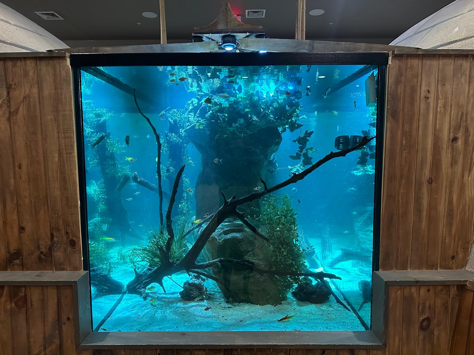 1000 Gallon Fresh Water Community Edison NJ – Best Custom Aquariums and ...
